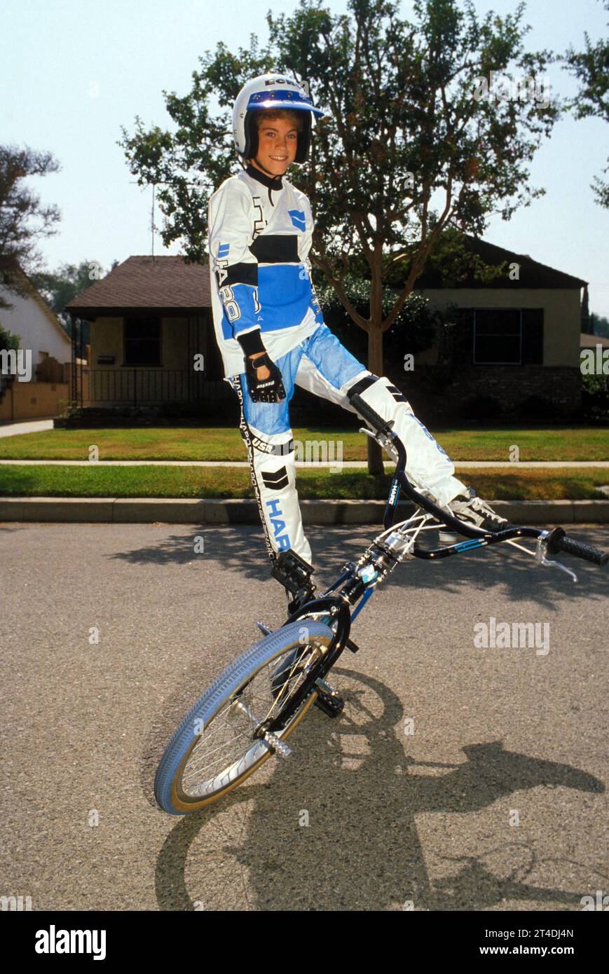 BRIAN GREEN ;merican actor, best known for his portrayal of David ...