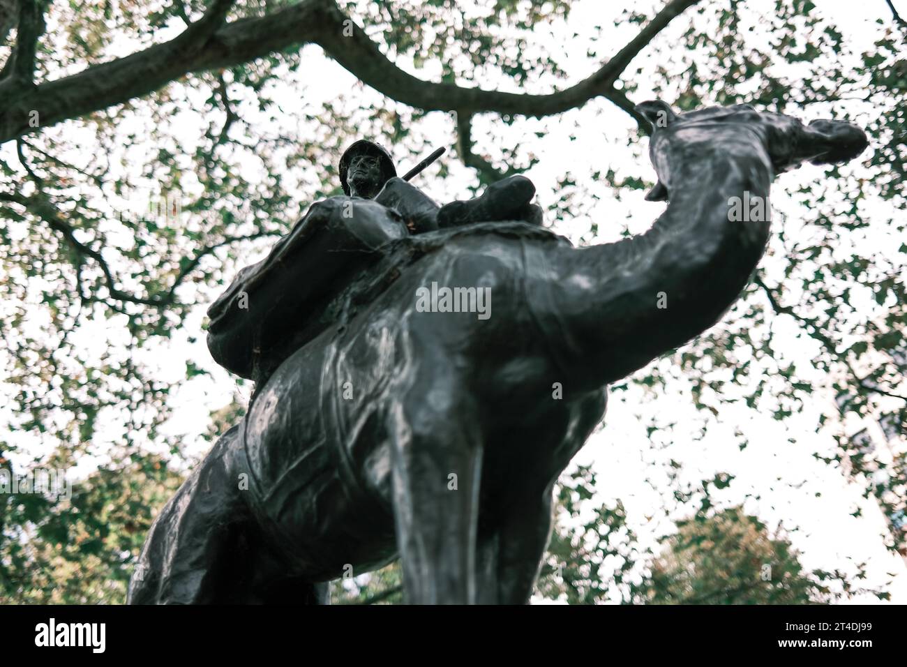 Camel Corps Memorial Stock Photo - Alamy