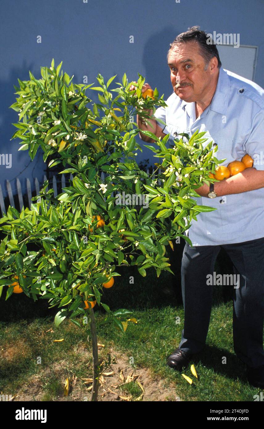 CHRISTOPHER HEWETT ;5 April 1921 - 3 August 2001 ; English actor and ...
