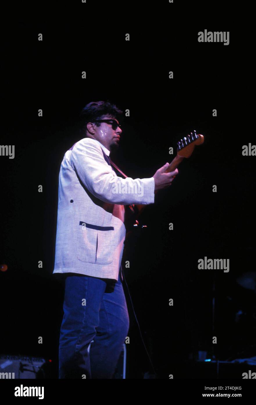 LOS LOBOS ;American rock band ; Steve Berlin – saxophones, percussion ...