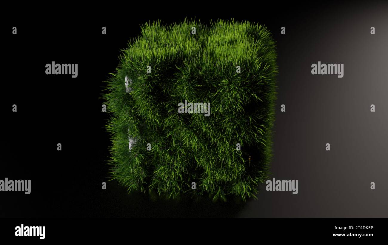 Grass cube. Computer generated 3d render Stock Photo - Alamy