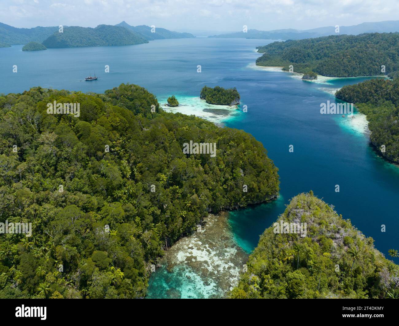 Limestone islands, covered by rainforest, are fringed by coral reefs in ...