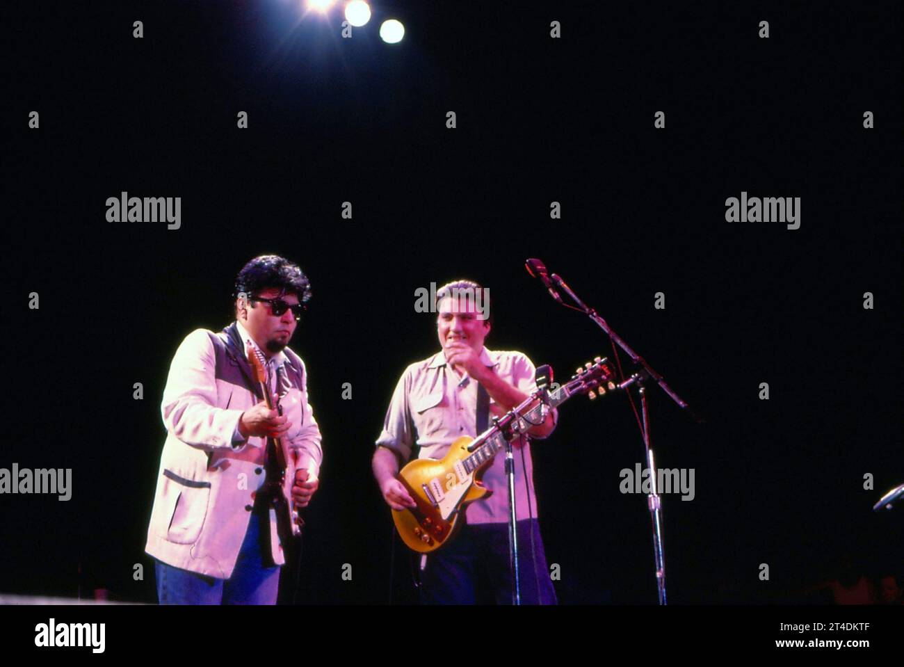 LOS LOBOS ;American rock band ; Steve Berlin – saxophones, percussion ...