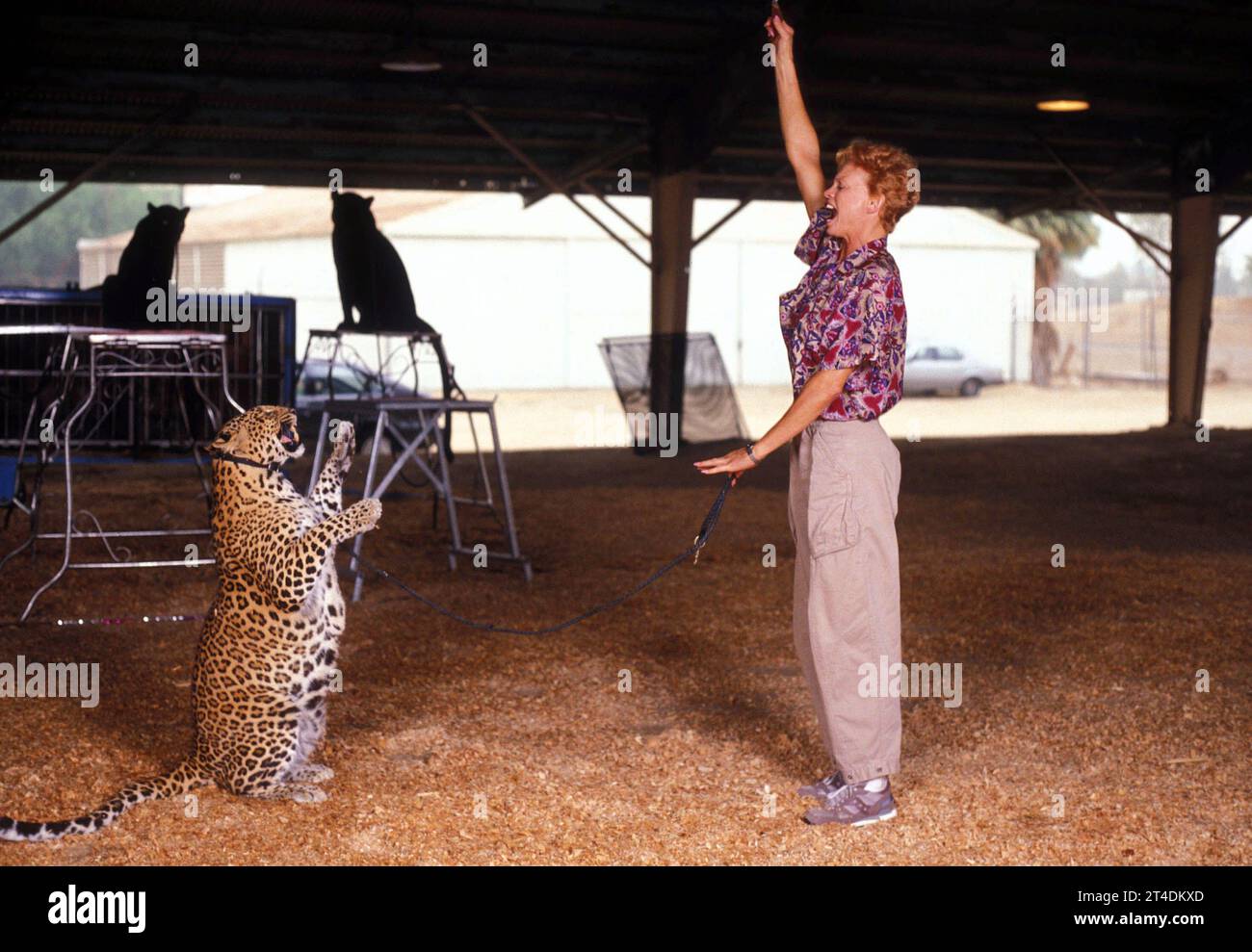 JULIET PROWSE ;25 September 1936 - 14 September 1996 ; British-American ...
