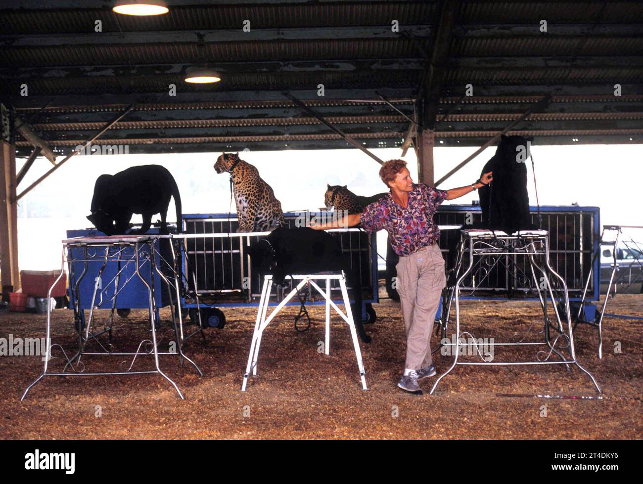 JULIET PROWSE ;25 September 1936 - 14 September 1996 ; British-American ...