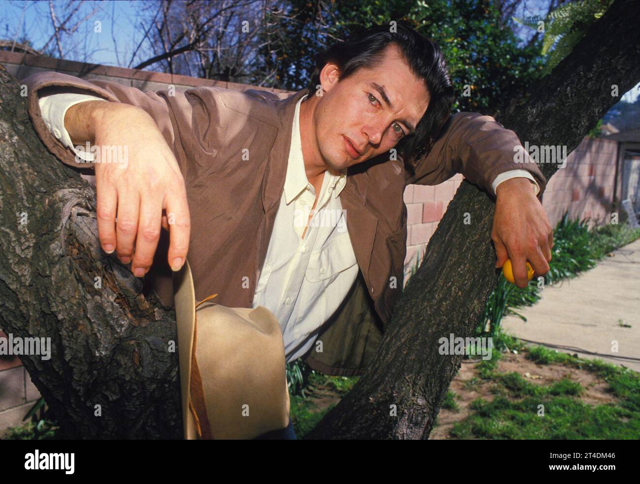 William drago hi-res stock photography and images - Alamy