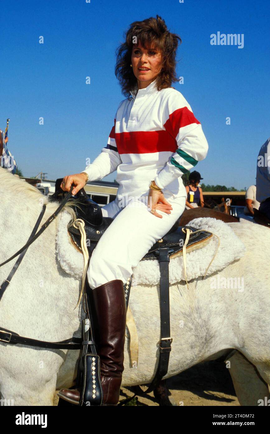 Stefanie powers 1980 hi-res stock photography and images - Alamy