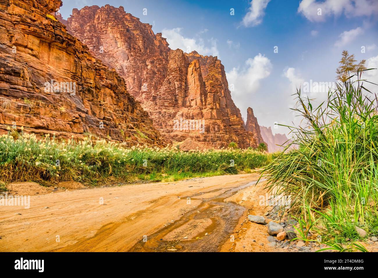 Wadi Disah oasis in Saudi Arabia Stock Photo - Alamy