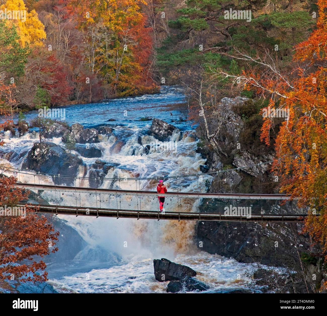 Rogie Falls, Strathpeffer Highland, Scotland, UK. 30th October 2023 ...