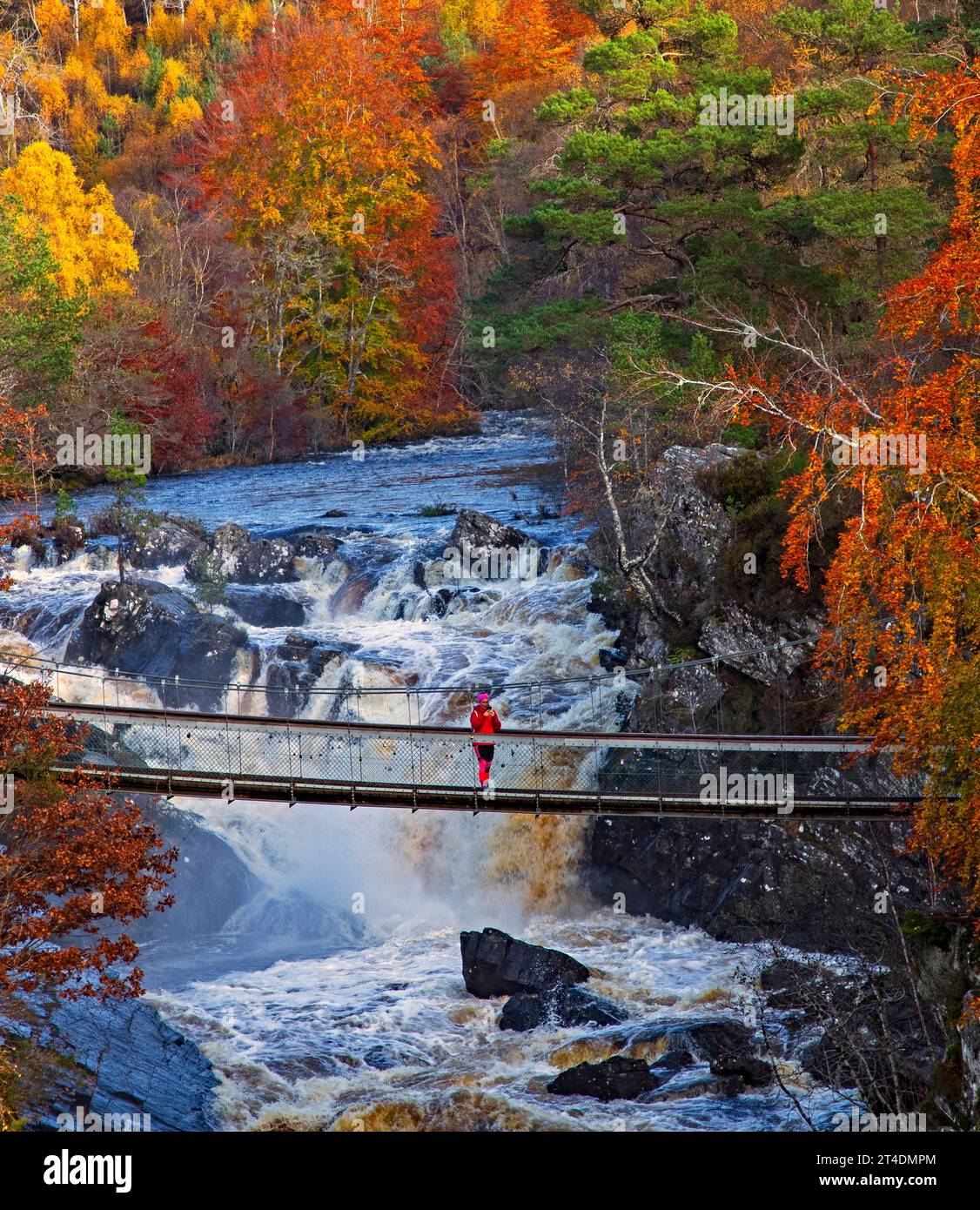 Rogie Falls, Strathpeffer Highland, Scotland, UK. 30th October 2023 ...