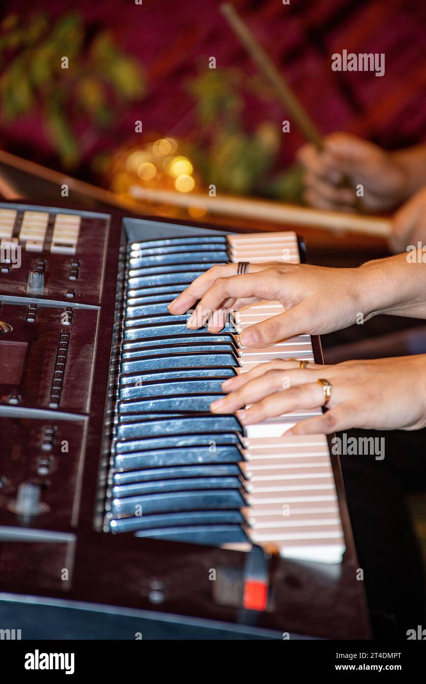 Vertical Image of an Artist Playing a Synthesizer or Keyboard at a Live ...