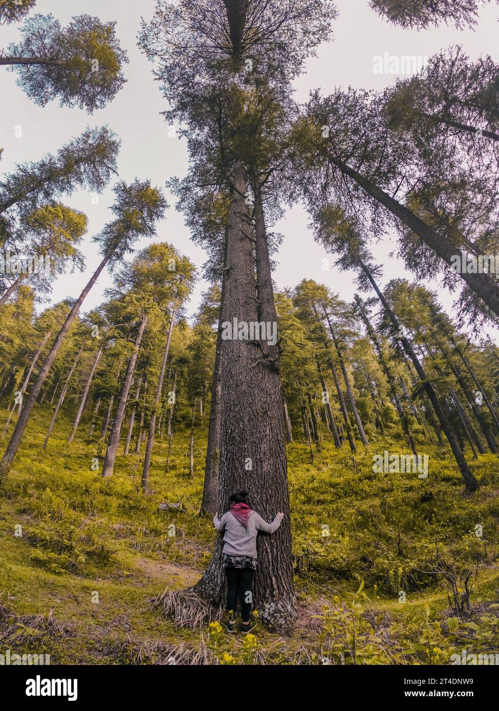 Mandi india hi-res stock photography and images - Alamy