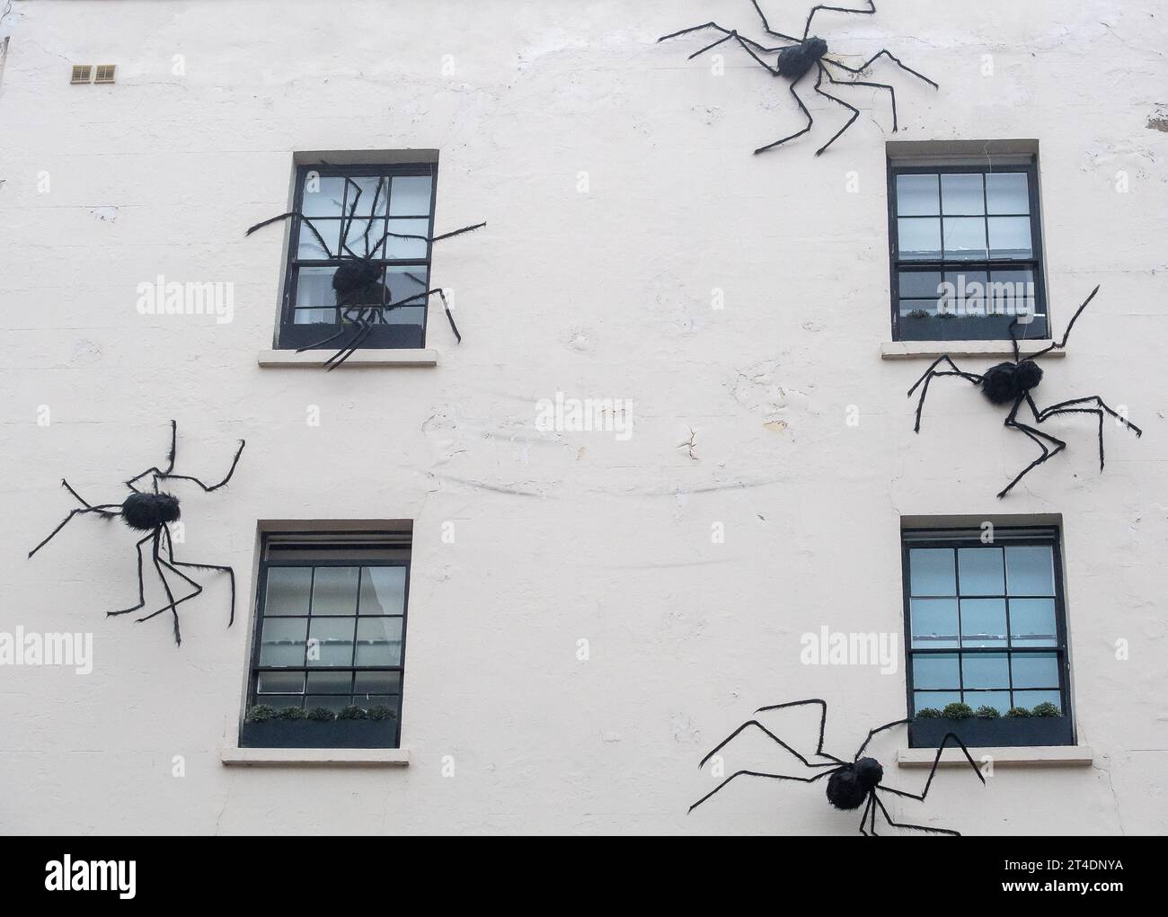 Windsor, Berkshire, UK. 30th October 2023. Giant spiders on the wall of ...
