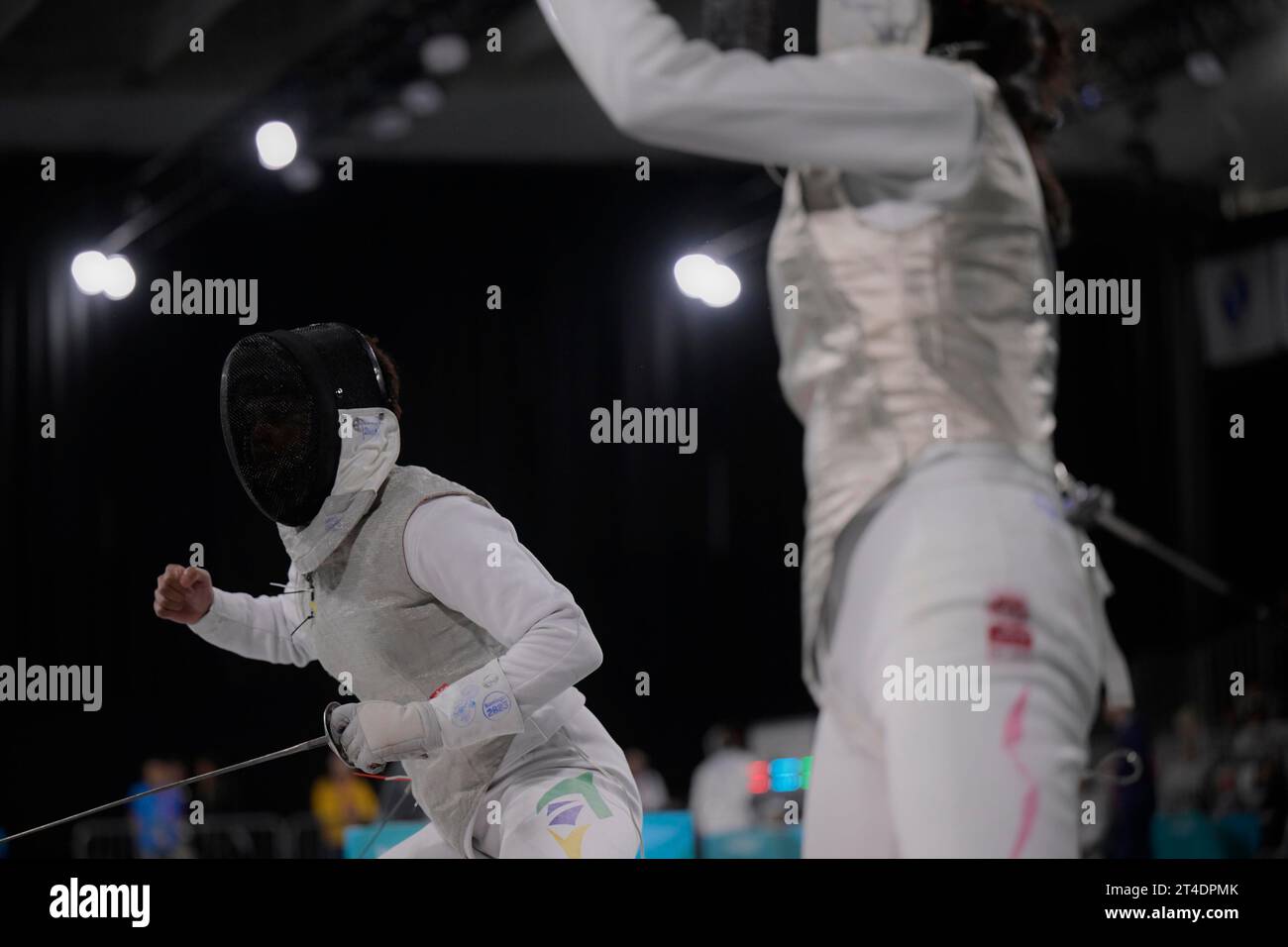 Santiago, Chile. 30th Oct, 2023. Ana Beatriz Bulcão of Brazilian ...