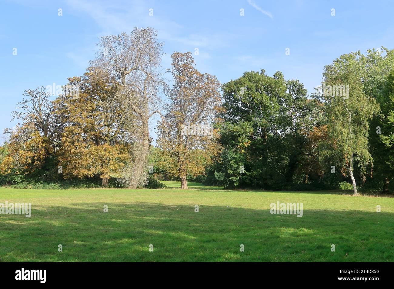Beautiful woodland landscape in the North Kent countryside Stock Photo ...