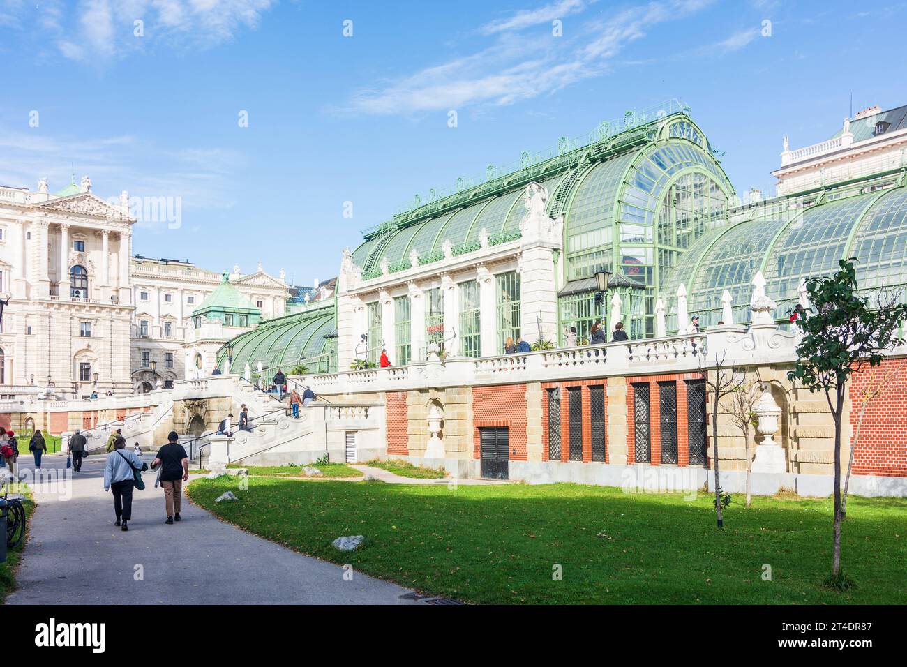 Palmenhaus palm house in 01 old town hi-res stock photography and ...