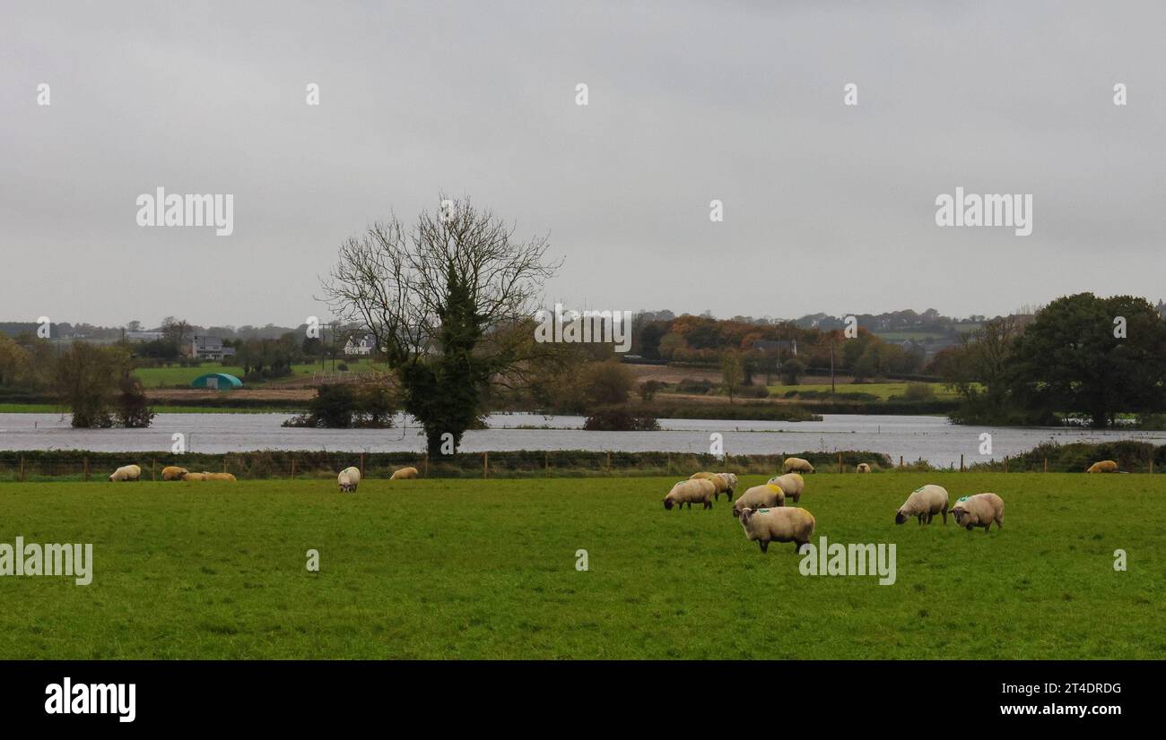 Moira, County Down, Northern Ireland, UK. 30th Oct 2023. UK weather ...