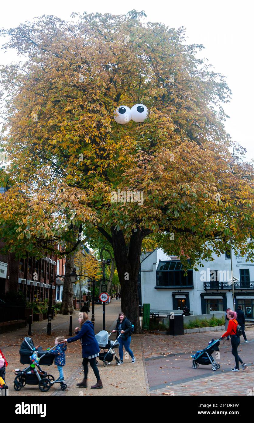 Googly glimpsers hi-res stock photography and images - Alamy