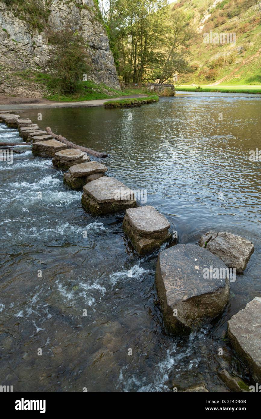 The famous stepping stones over the river Dove in the Dovedale valley ...