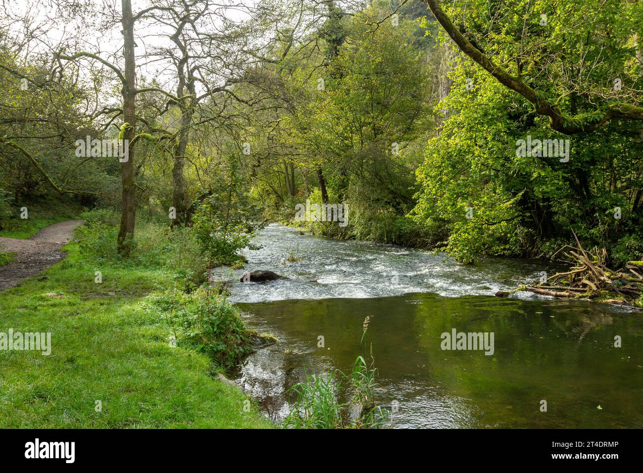 The River Dove in Dovedale valley, Peak District, Derbyshire, England ...