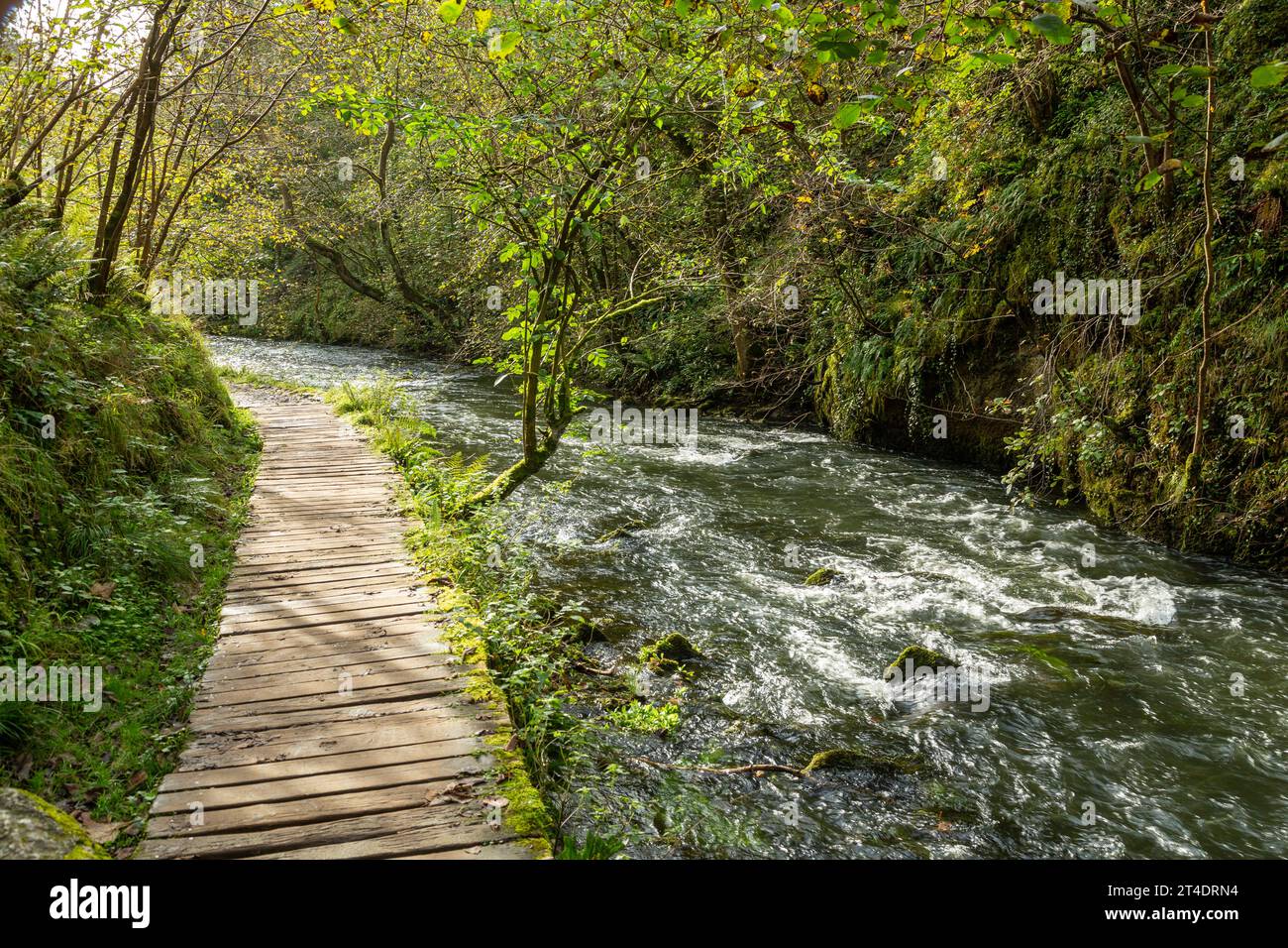 The River Dove in Dovedale valley, Peak District, Derbyshire, England ...