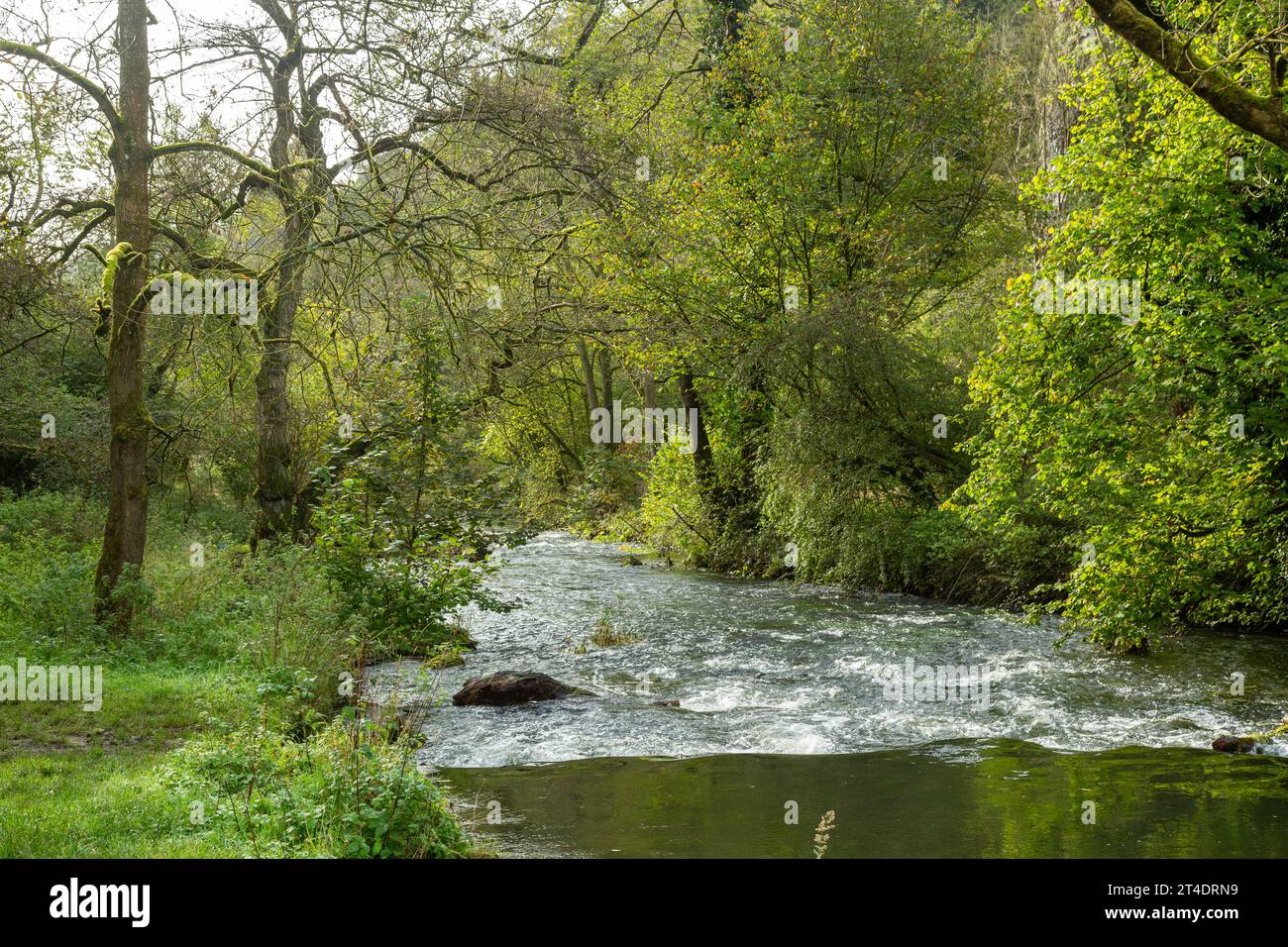 The River Dove in Dovedale valley, Peak District, Derbyshire, England ...
