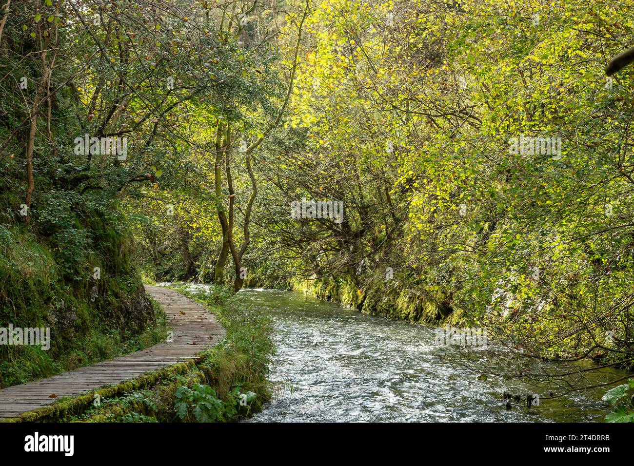 The River Dove in Dovedale valley, Peak District, Derbyshire, England ...