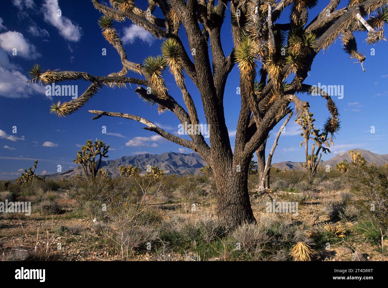 Shadow valley hi-res stock photography and images - Alamy
