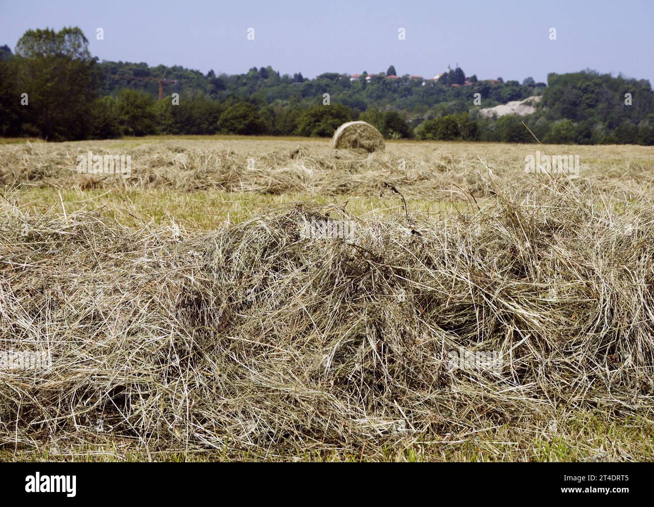 Rural field with hay hi-res stock photography and images - Alamy