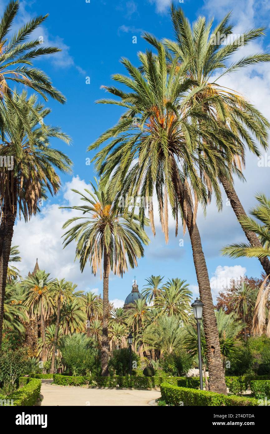 Palermo, Sicily, 2016. A walk between the palm trees in the garden of ...