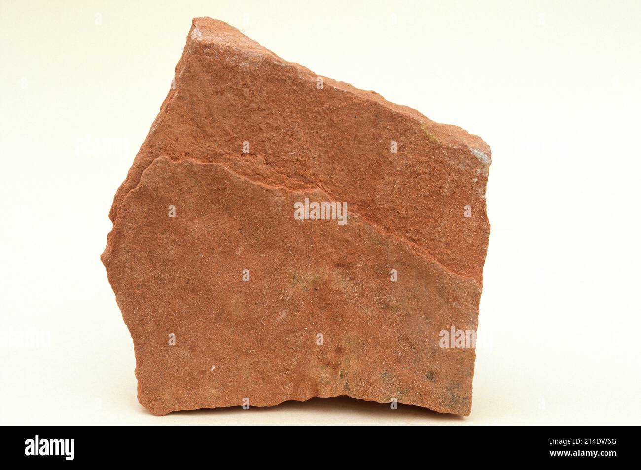 Red sandstone from Buntsandstein (Triassic). Sample Stock Photo - Alamy