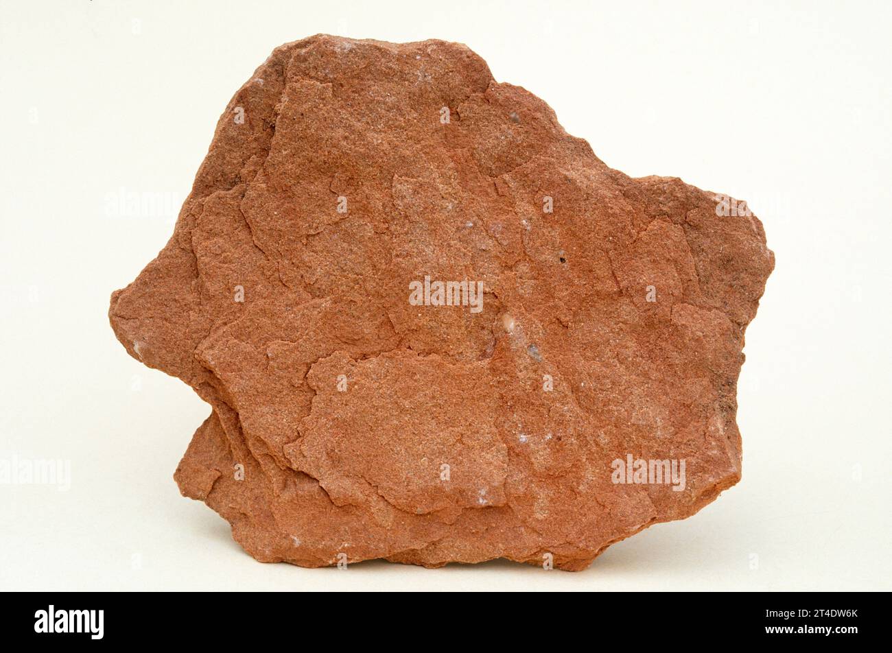 Red sandstone from Buntsandstein (Triassic). Sample Stock Photo - Alamy