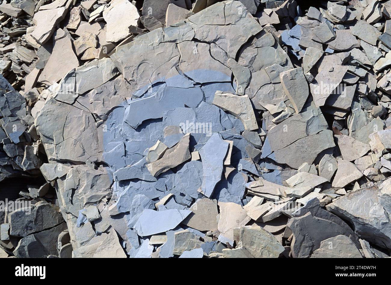 Limestone is a sedimentary rock mainly composed of calcium carbonate ...