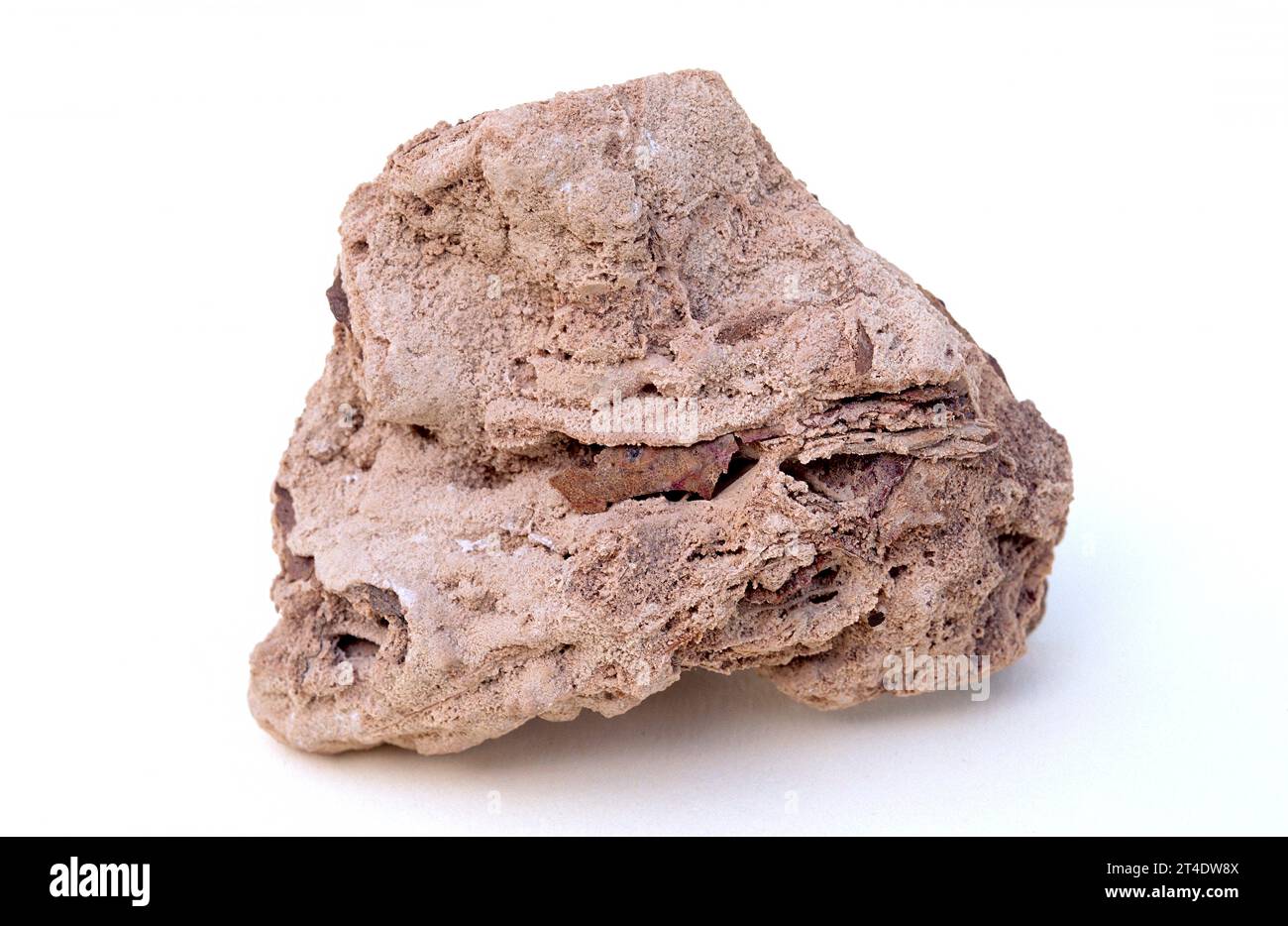 What Is Porous Limestone at Thomas Wilk blog