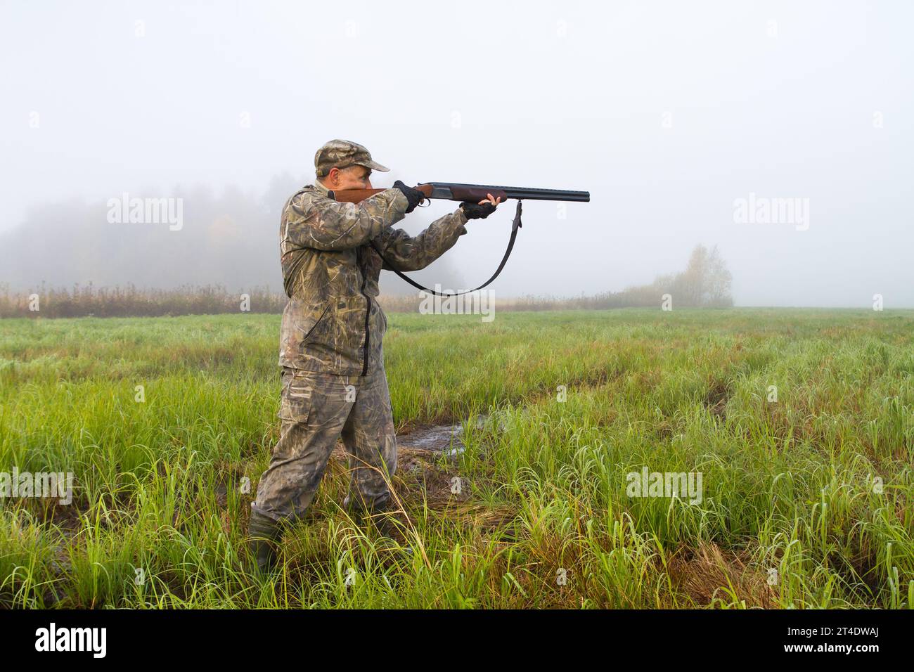 a hunter takes aim with a hunting shotgun in a meadow on a foggy ...