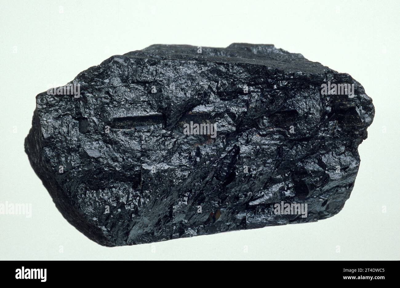 Bituminous coal is an organic sedimentary rock. Sample Stock Photo - Alamy