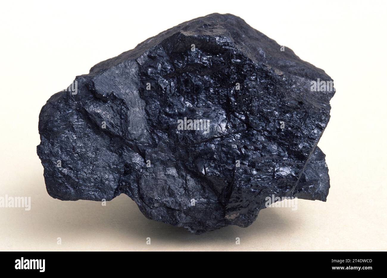Bituminous coal is an organic sedimentary rock. Sample Stock Photo - Alamy