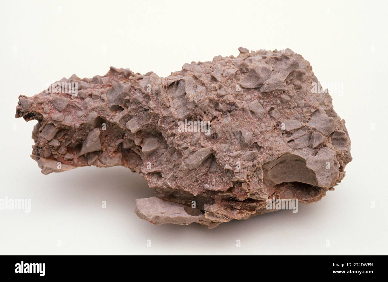 Sedimentary breccia hi-res stock photography and images - Alamy