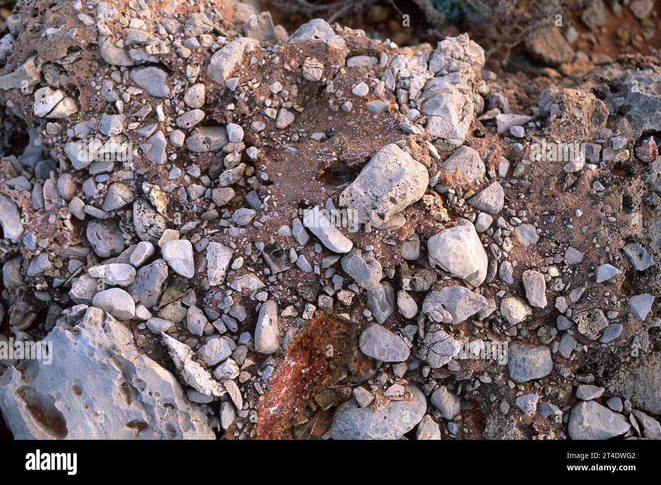 Breccia is a kind of conglomerate, a clastic sedimentary rock. This ...