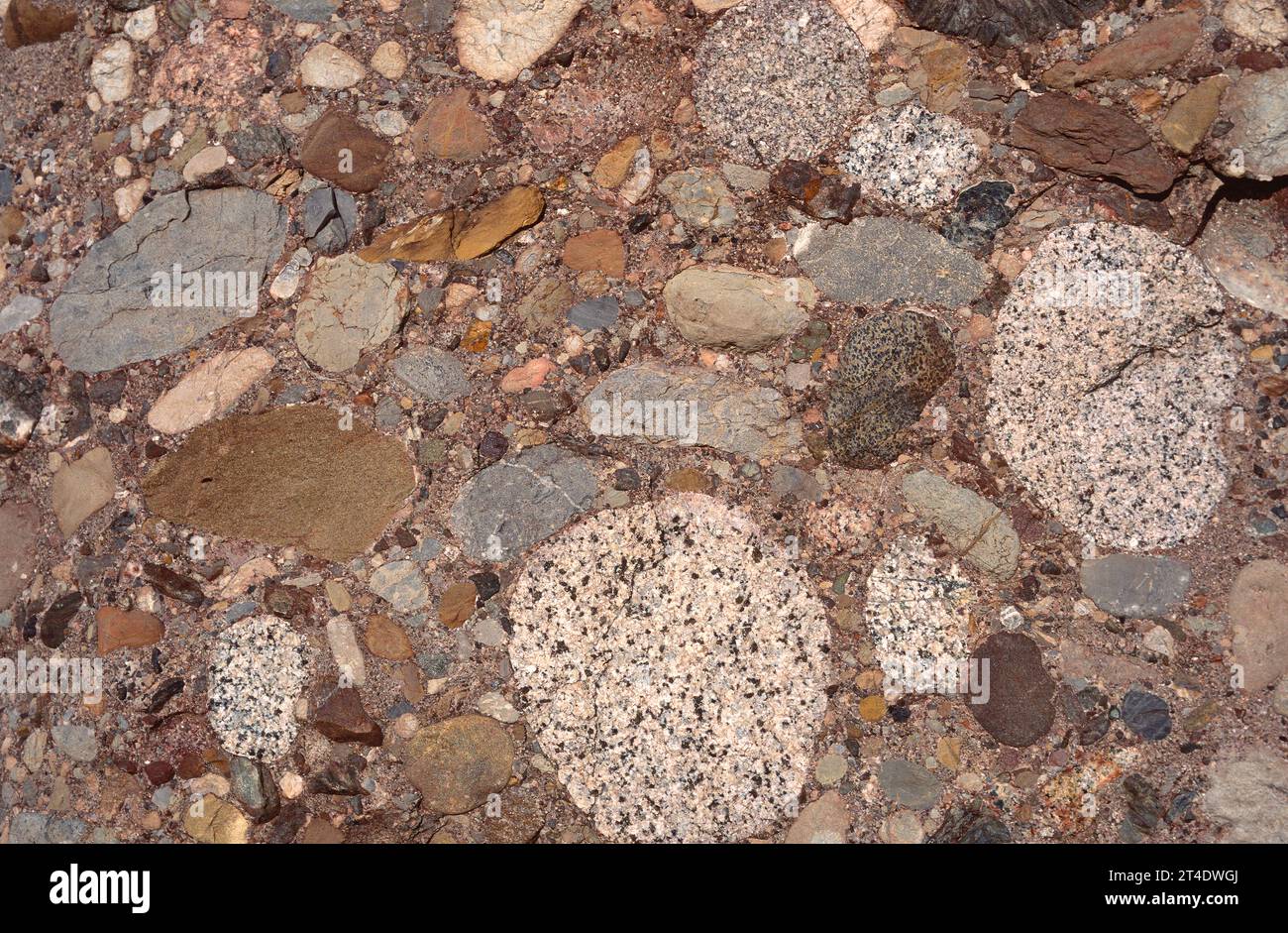 Puddingstone is a kind of conglomerate, a clastic sedimentary rock ...