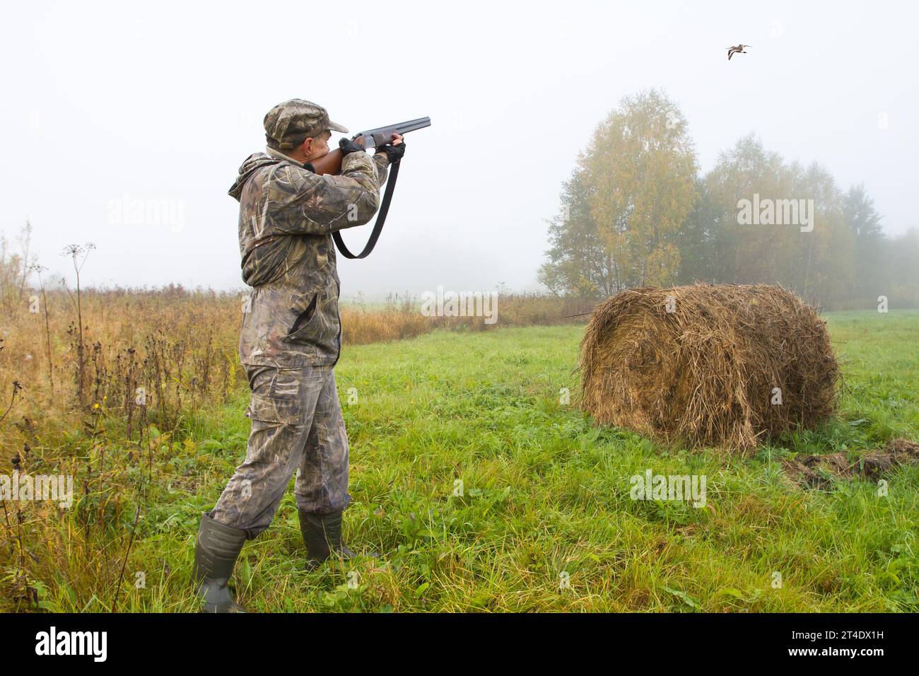 Hay on meadow shooting in hi-res stock photography and images - Alamy