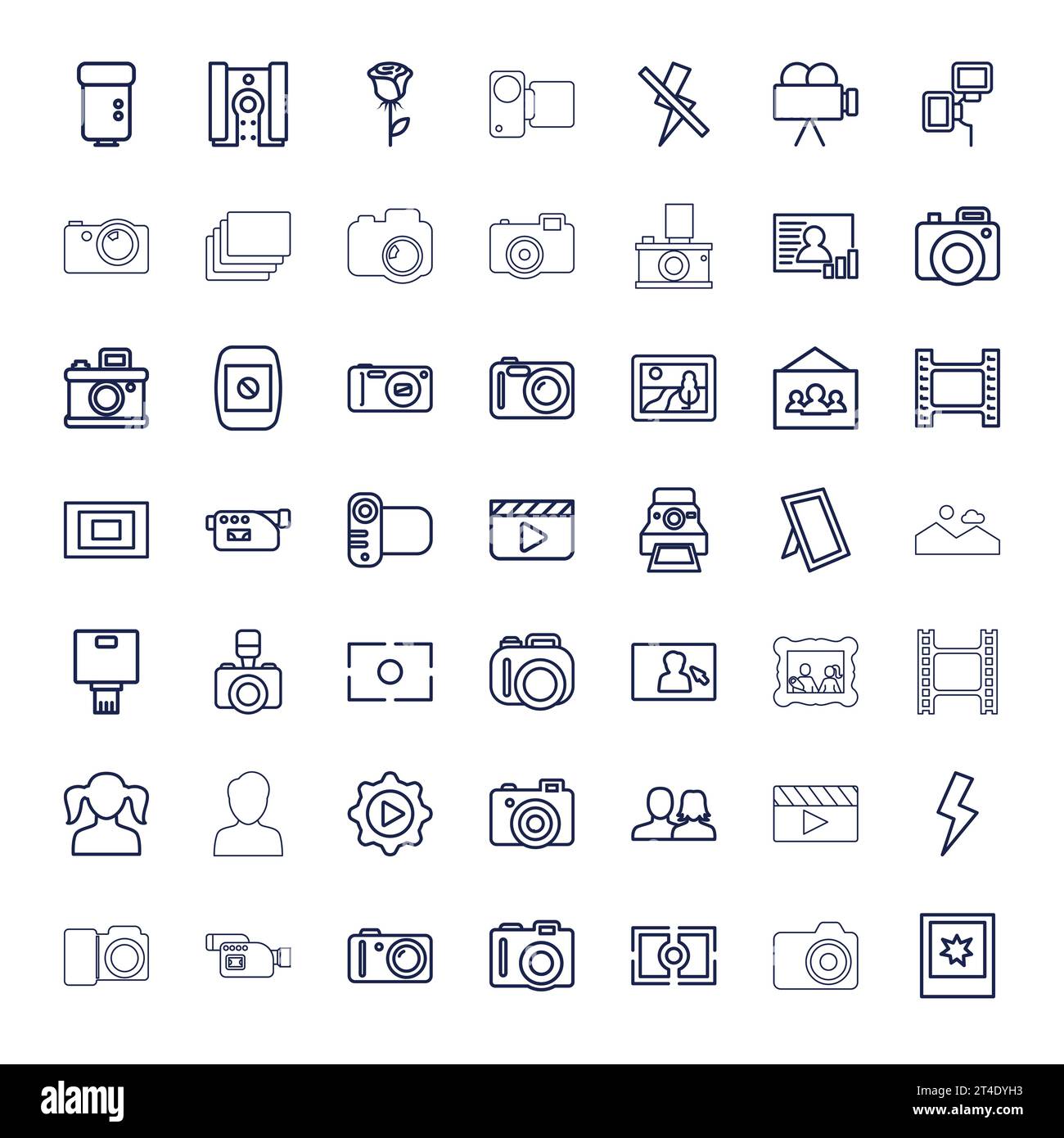 The rose photos Stock Vector Images - Alamy