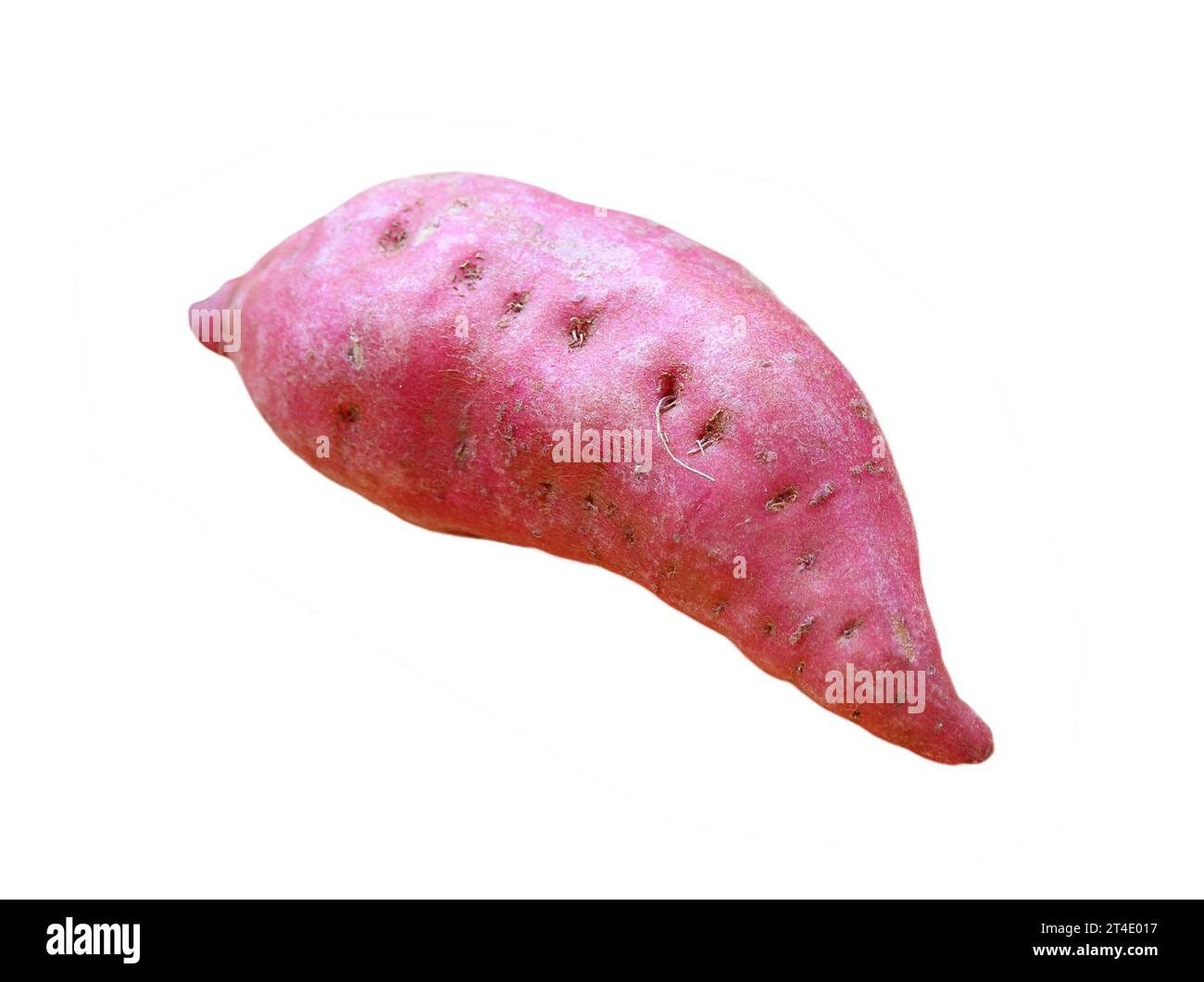 Closeup of a Raw Sweet Potato Isolated on white background Stock Photo ...
