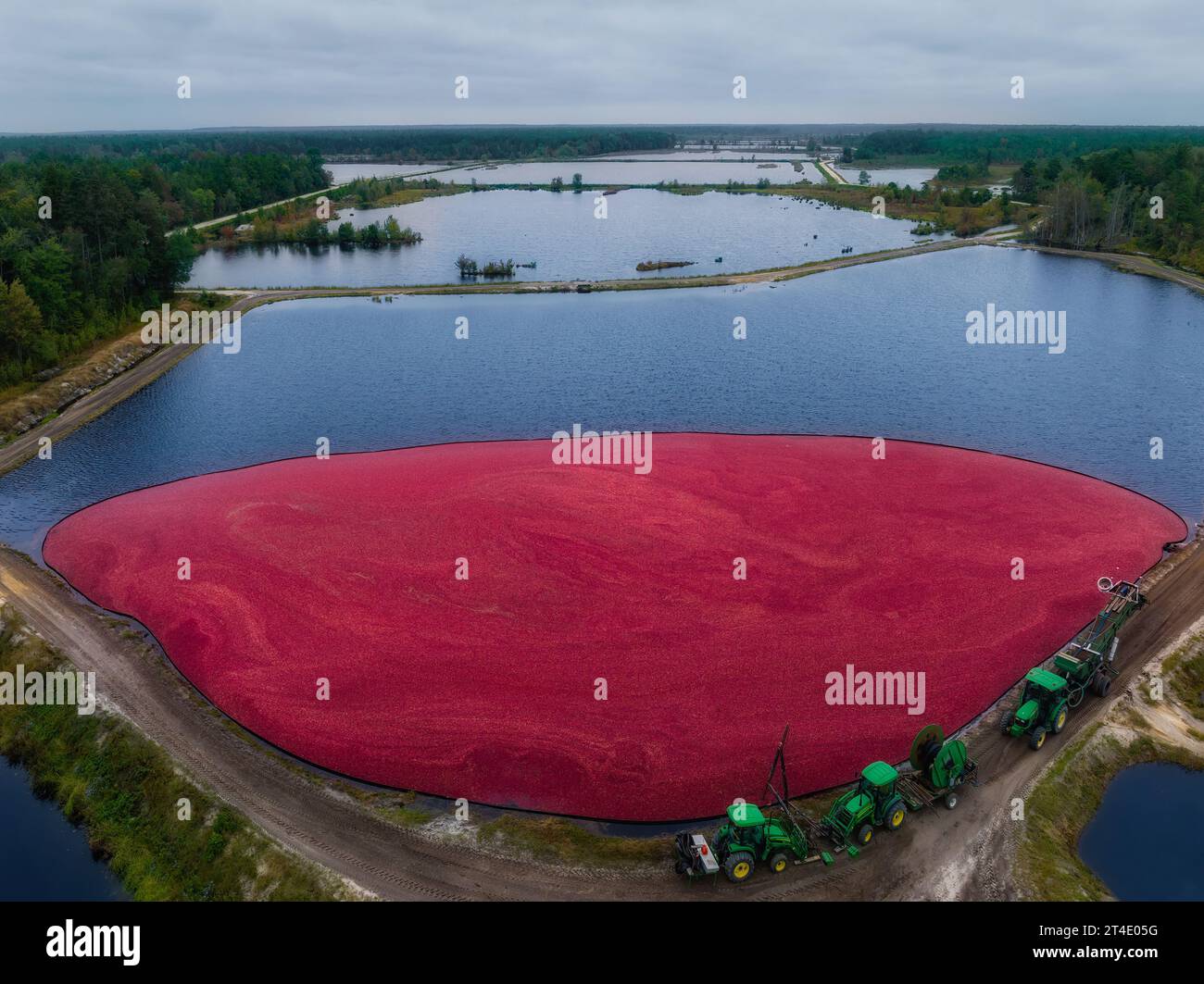 Pine barrens hi-res stock photography and images - Alamy