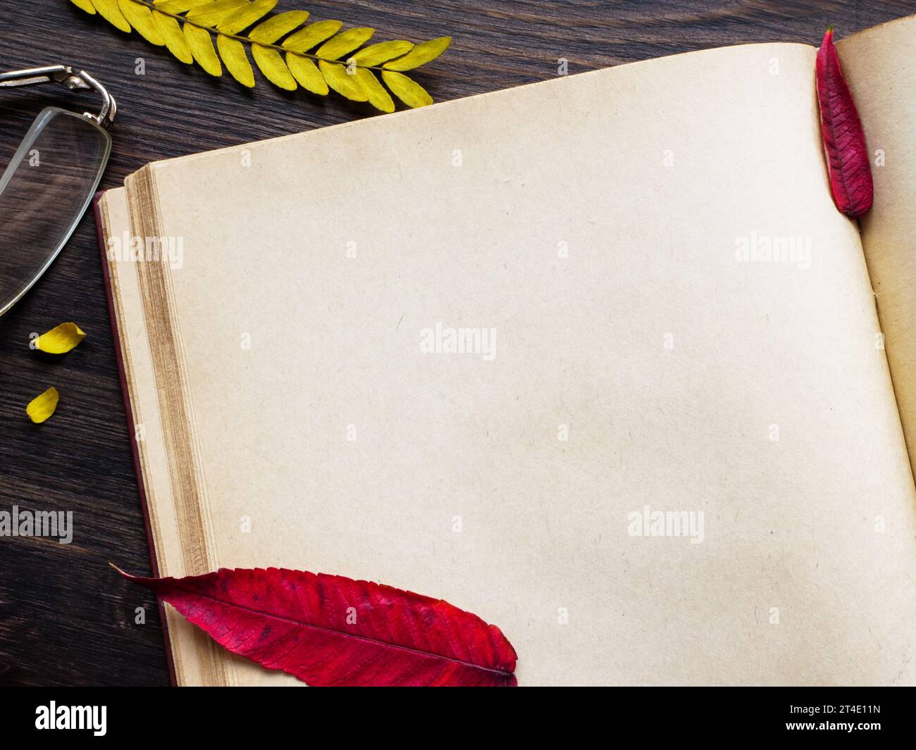 Blank book sheet with empty space and autumn leaves. Flat lay Stock ...
