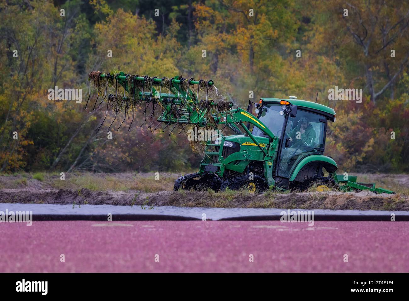 Cranberry Harvest Harrow tractor with a view of a flooded bog in the ...