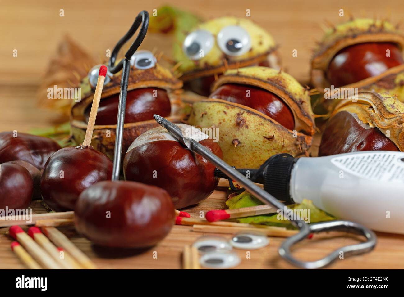 Horse chestnuts and craft materials Stock Photo - Alamy