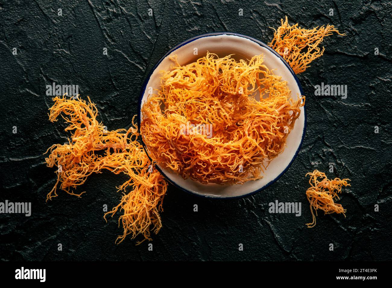 Irish sea moss on a black slate background, Chondrus Crispus, healthy ...