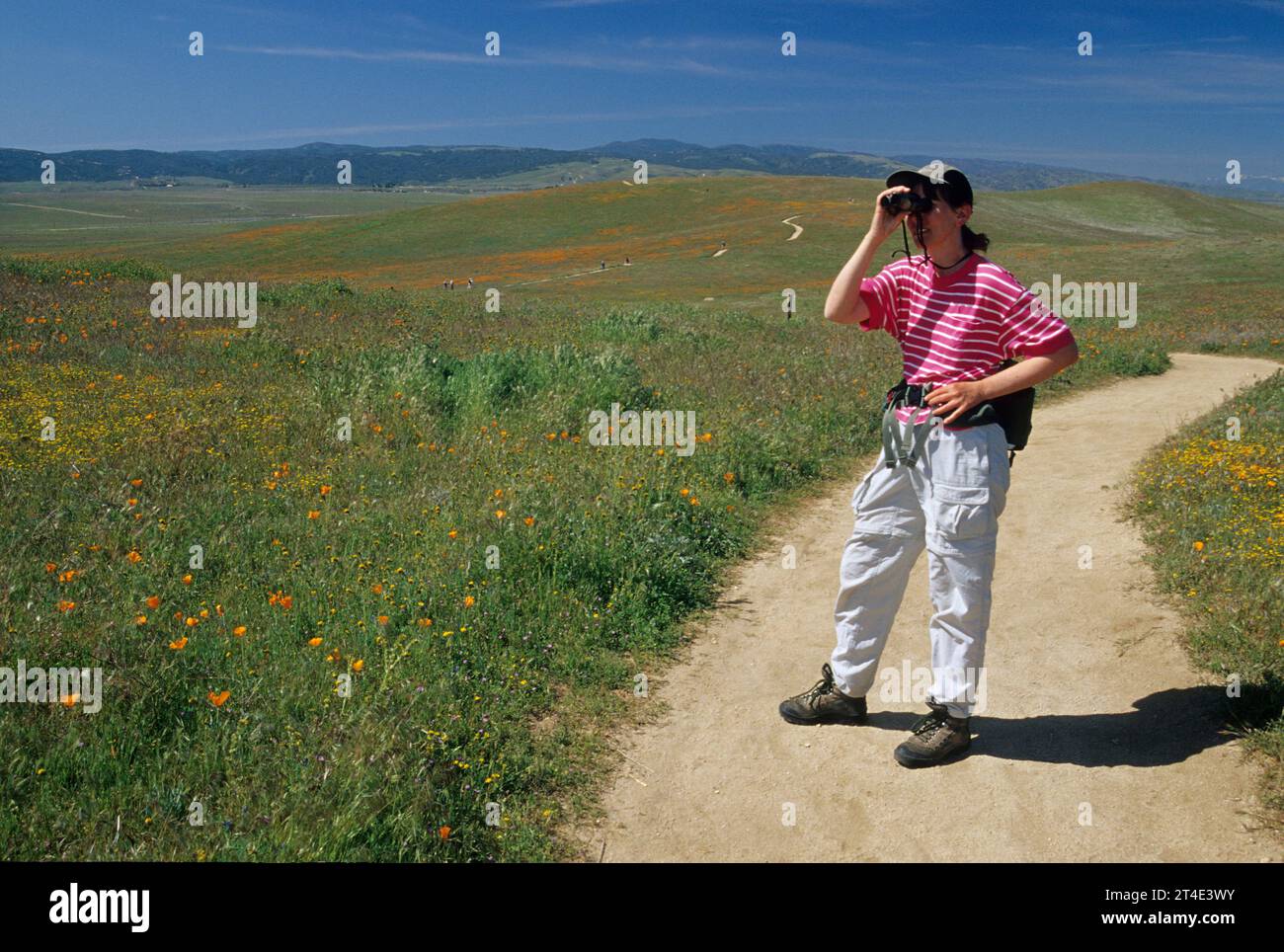 Lightning bold trail hi-res stock photography and images - Alamy