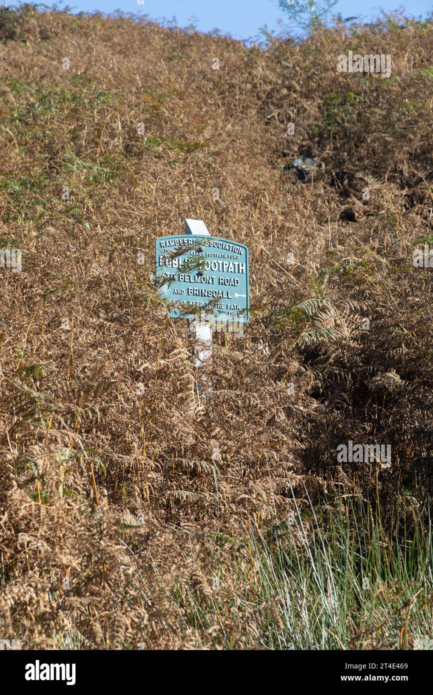 Cast iron footpath sign near White Coppice Lancashire England Stock ...